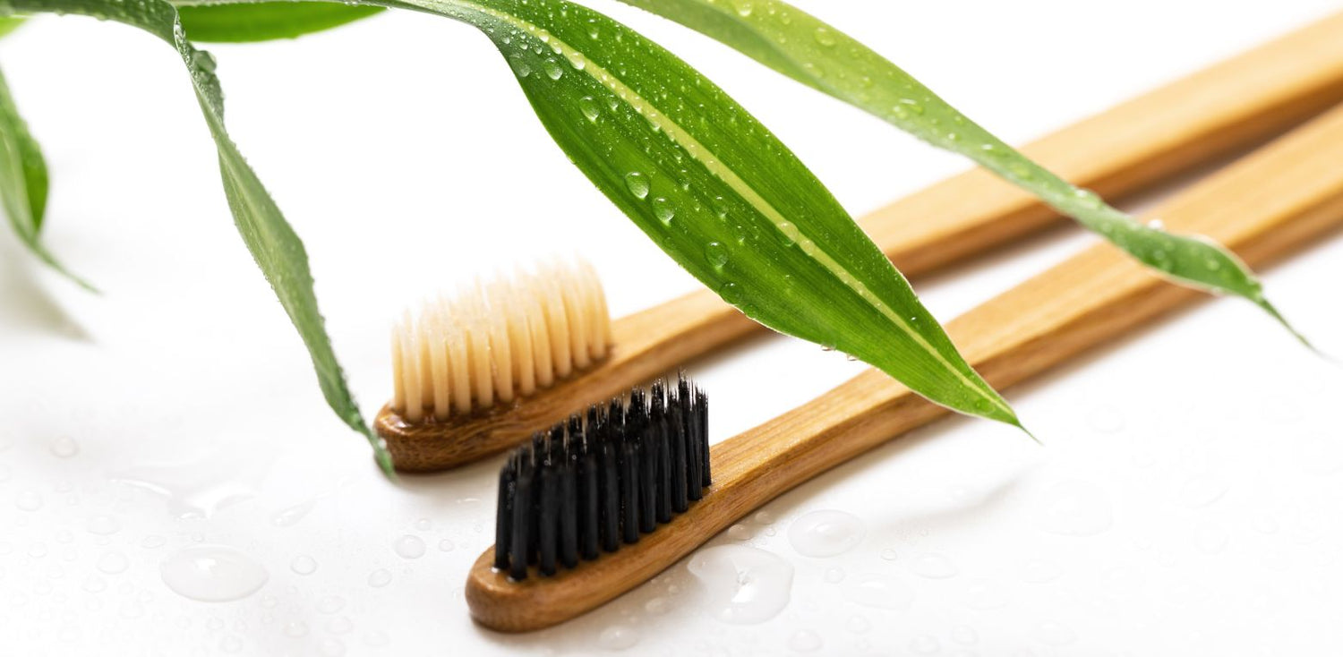 Why Bamboo Toothbrushes Are Better for the Environment